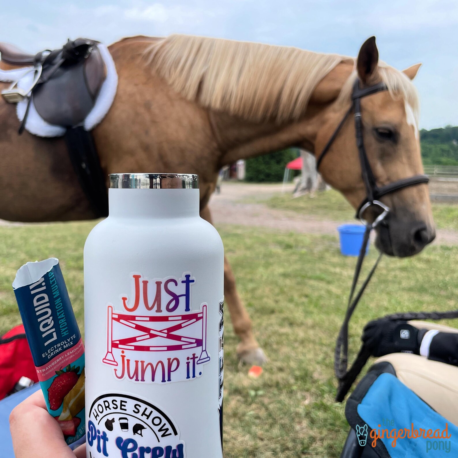 HORSE SHOW Packing Checklist Printable Equestrian Competition ...