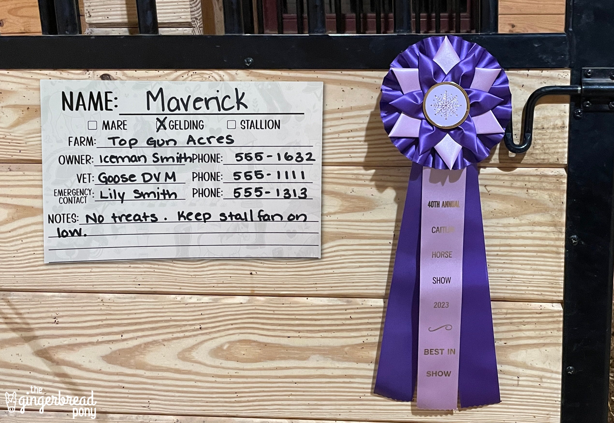 Printable HORSE STALL Info Card Form | Travel Information Essentials ...