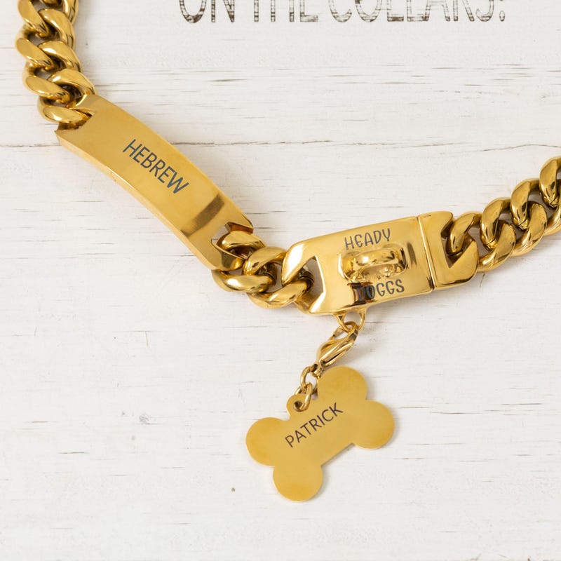 Dog Chain Collar - Etsy