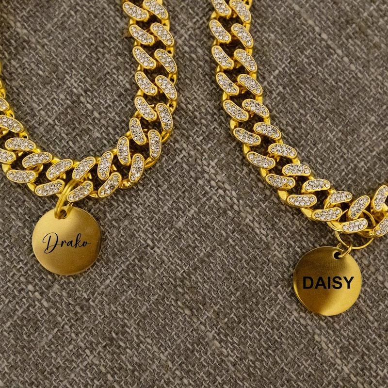 Chihuahua Gold Chain - Etsy