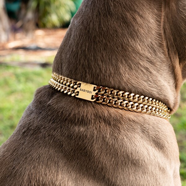 Custom Dog Collars - Etsy
