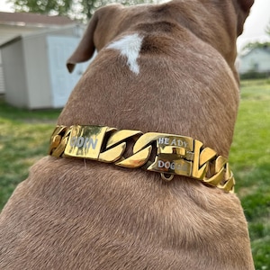 Personalized Cuban Chain, Cuban Chain Dog, Gold Chain Dog,id Link Dog ...