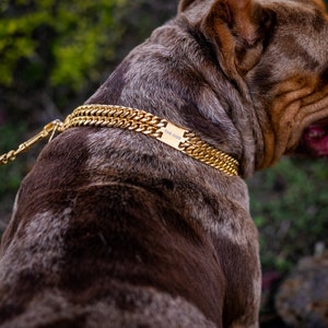 Custom Cuban Link Dog Collar, Jewelry for Dogs, Gold Chain ...