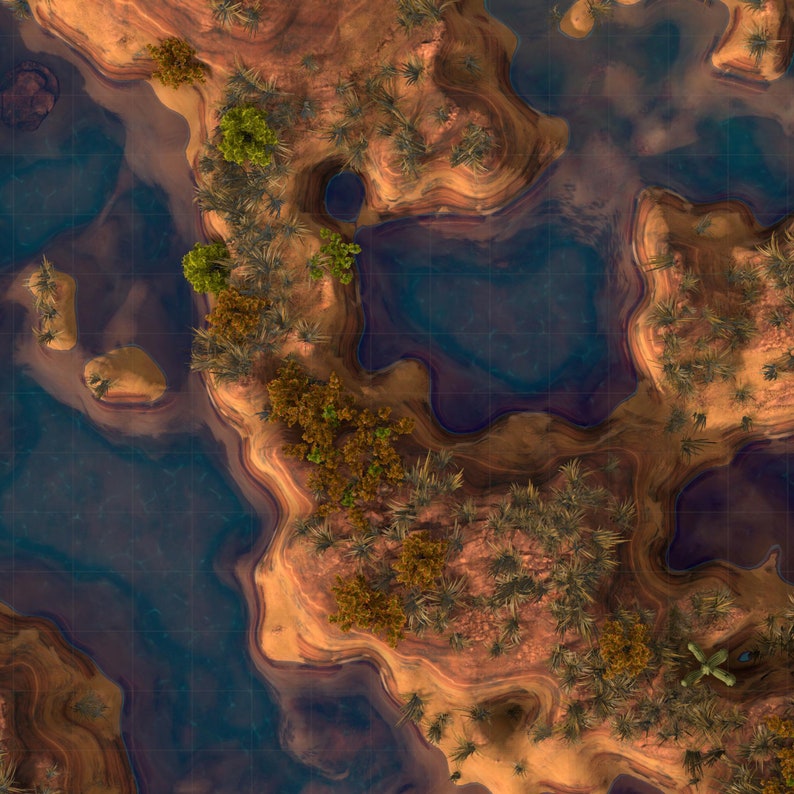 Buy 8K Tropical Lakes 50x50 Dnd Battle Map D&D Battlemap Online in ...