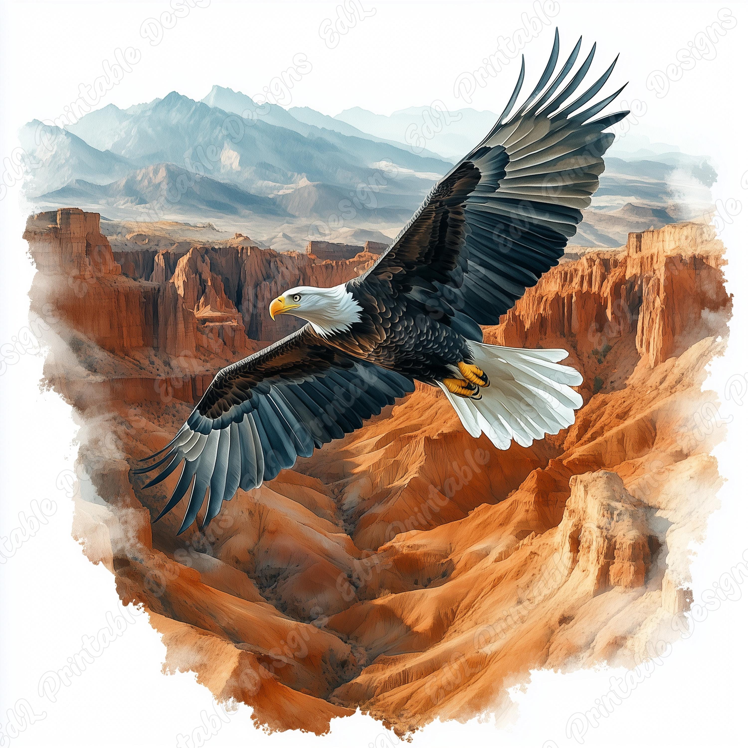 20 Watercolor Bald Eagle Clipart, Bird Printable Images, Bird of Prey ...