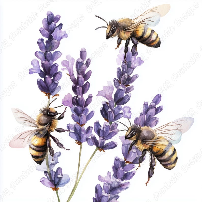 Watercolor Honey Bee Sunflower Clip Art, Summer Floral (digital ...