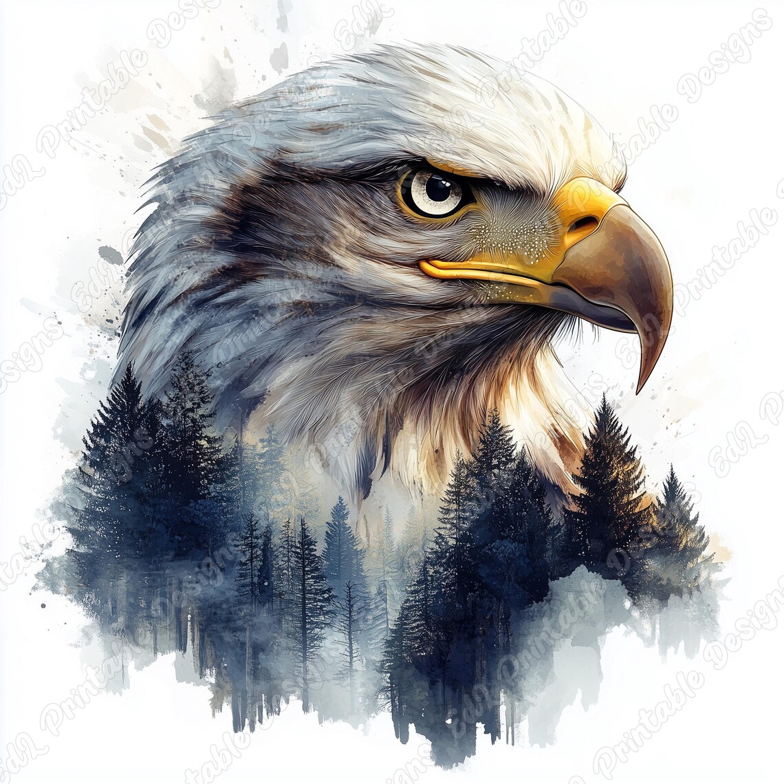 20 Watercolor Bald Eagle Clipart, Bird Printable Images, Bird of Prey ...