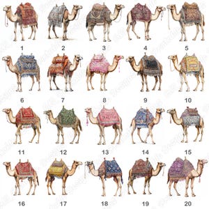 20 Camel With Carpet Clip Art, Desert Camel Printable Image, Egyptian ...