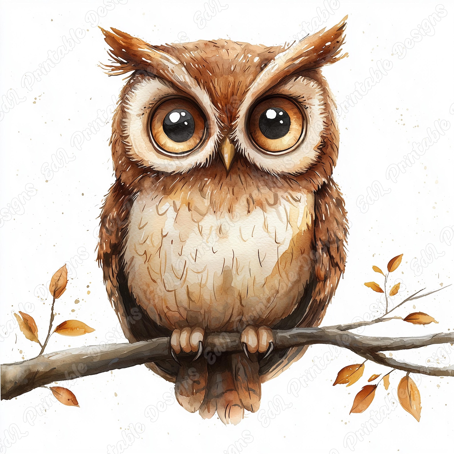 Watercolor Owl Clipart, Woodland Animal Illustrations (JPG Bundle) - Etsy
