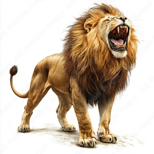 20 Realistic Lion Clip Art, Watercolor Lion Face Printable Images ...