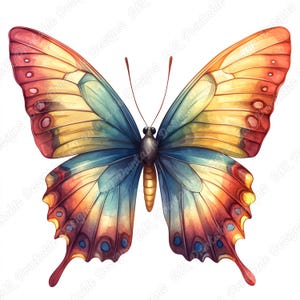 Watercolor Butterfly Clipart, Colorful Insect Illustration (JPG Bundle ...