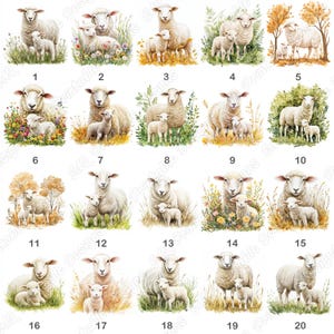 20 Mother Sheep and Lamb Clip Art, Sheep Family Printable Images, Farm ...