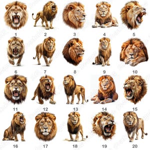 20 Realistic Lion Clip Art, Watercolor Lion Face Printable Images ...