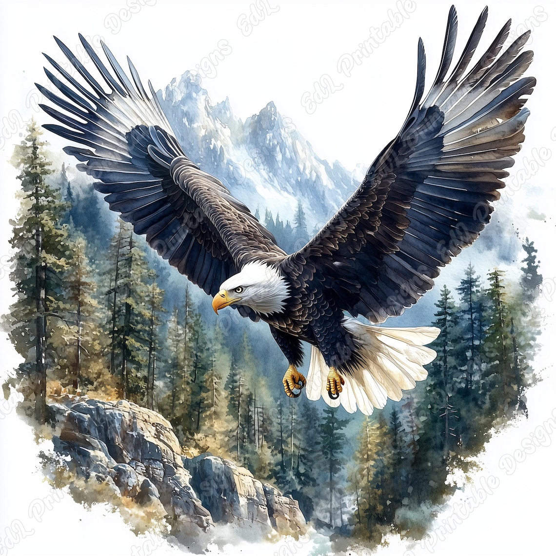 20 Watercolor Bald Eagle Clipart, Bird Printable Images, Bird of Prey ...