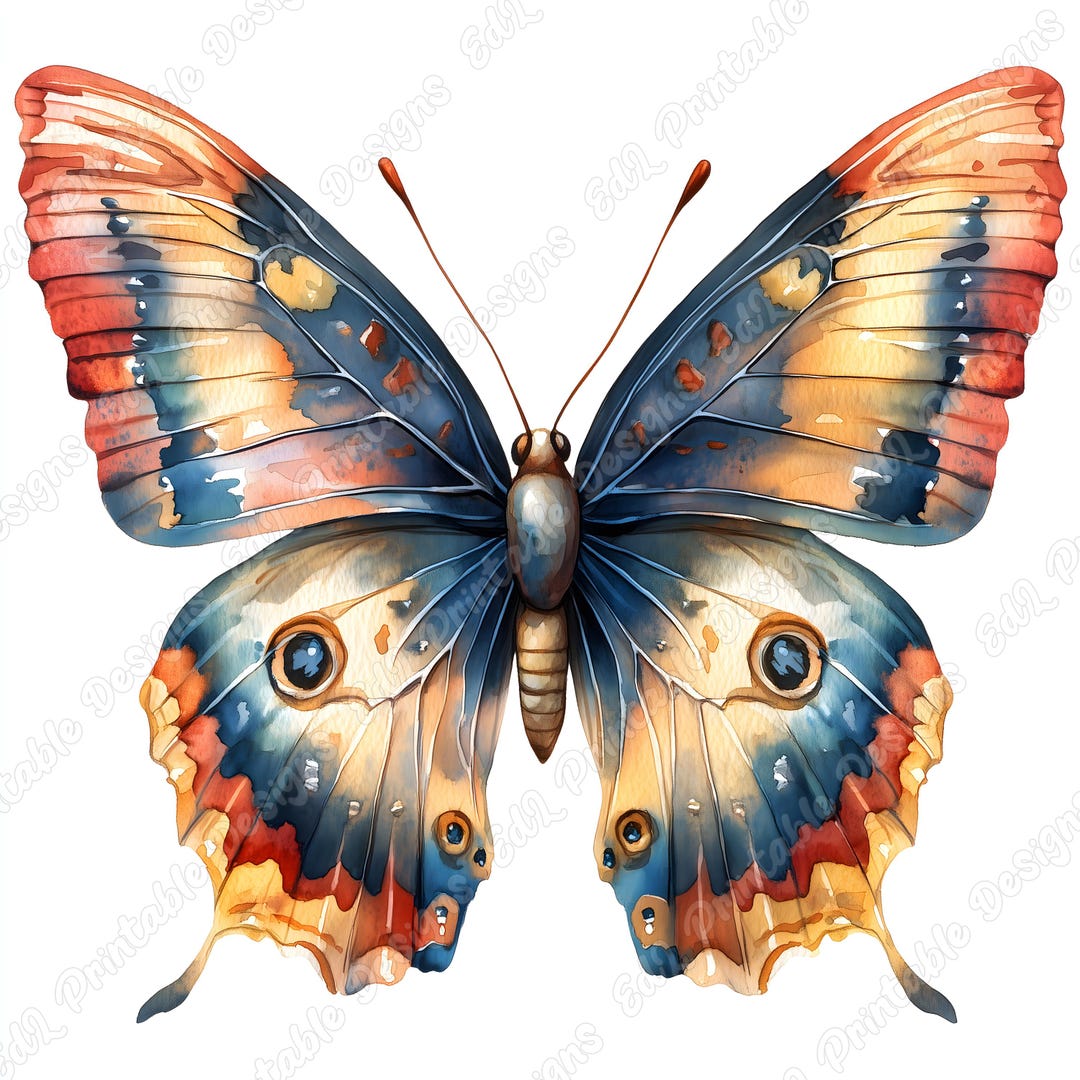 20 Colorful Butterfly Clip Art, Watercolor Butterflies Printable Image ...