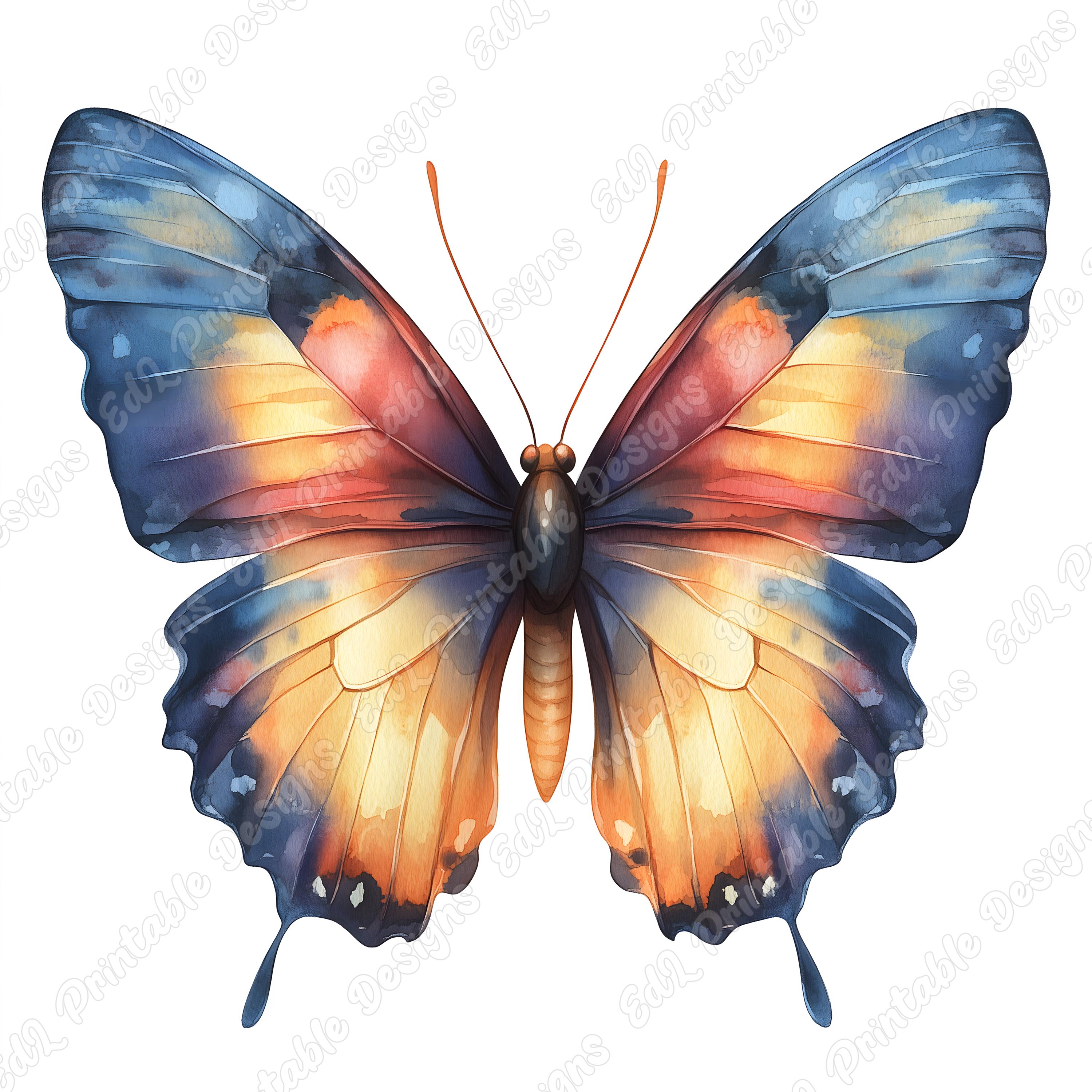 Watercolor Butterfly Clipart, Colorful Insect Illustration (JPG Bundle ...