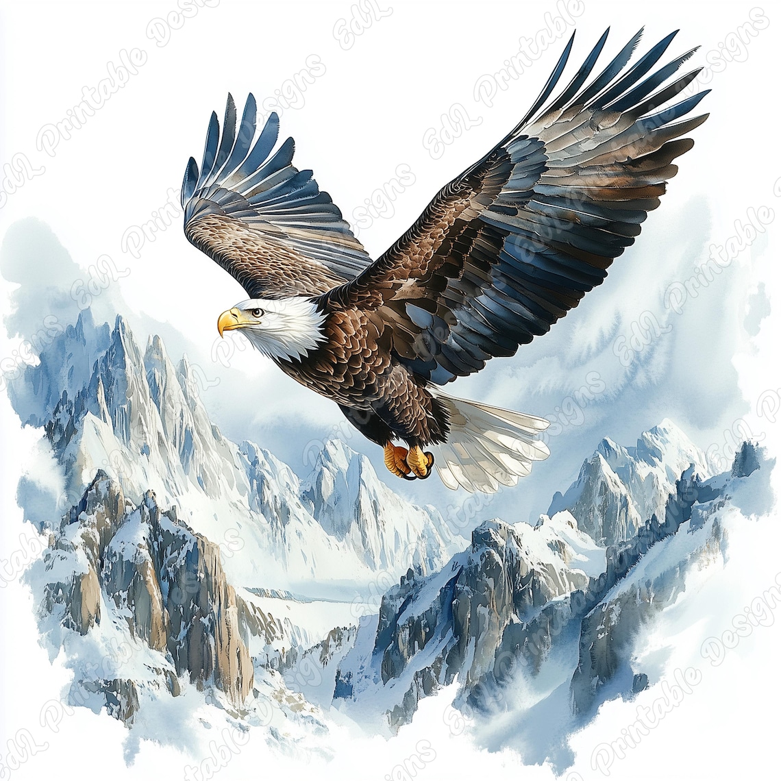 20 Watercolor Bald Eagle Clipart, Bird Printable Images, Bird of Prey ...