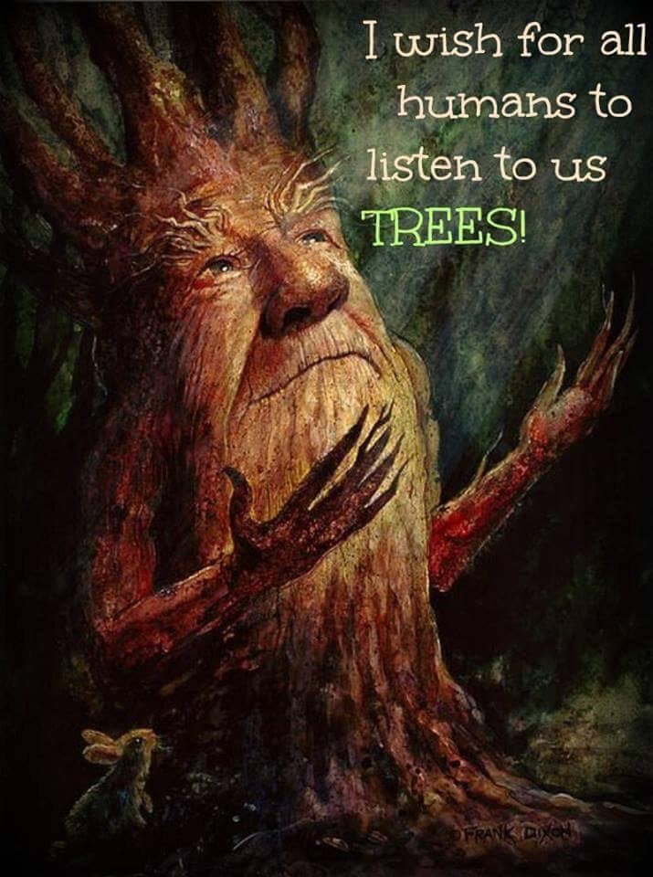 Wicked Souls - Etsy