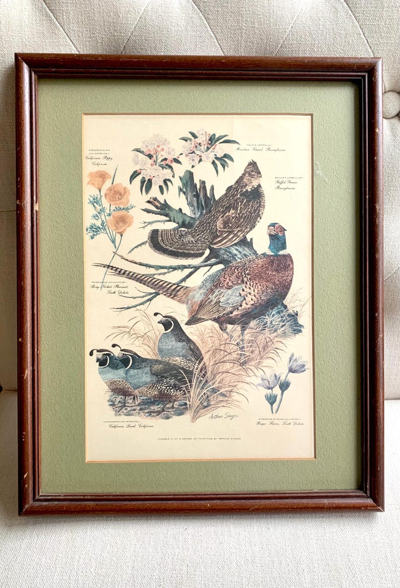 Arthur Singer Bird Prints