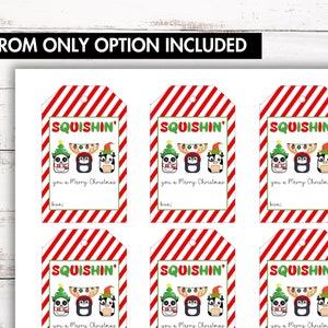 Squishin You a Merry Christmas Gift Tags - Etsy