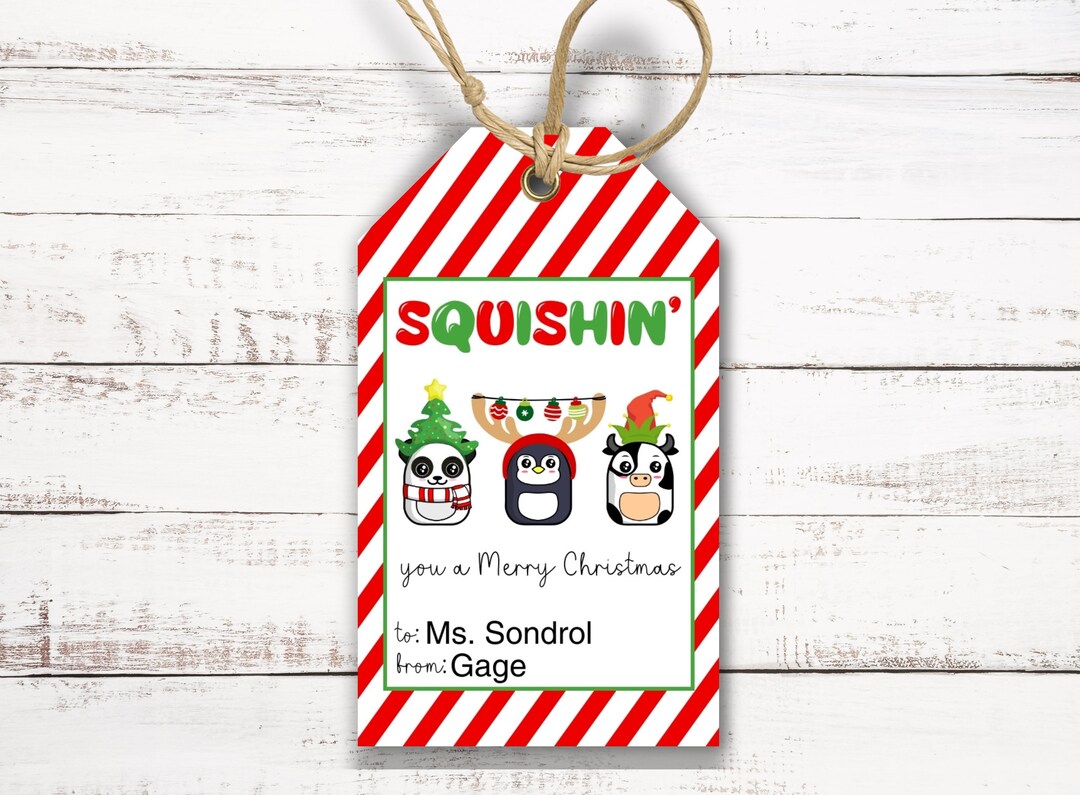Squishin You a Merry Christmas Gift Tags - Etsy