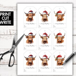 Christmas Highland Cow Gift Tag - Etsy