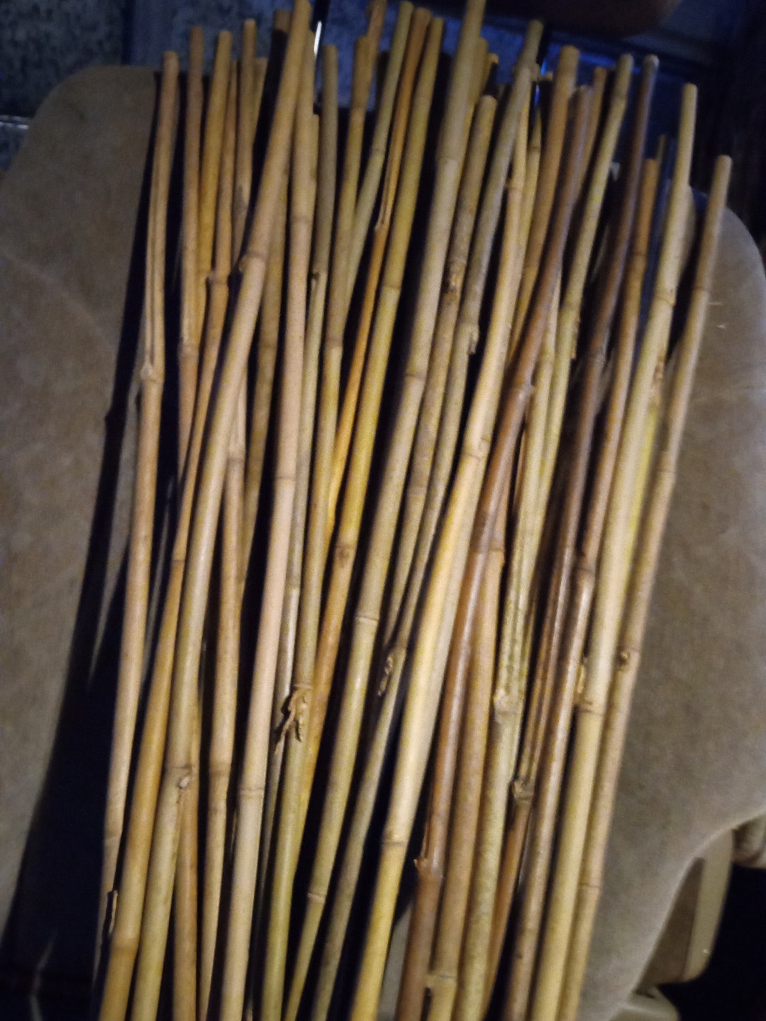 50 Pcs/bundle 2528 Mixed Green & Air Dried River Cane Sticks - Etsy