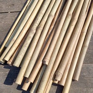 15 Pcs Unit Dried River Cane Sticks (9"-17" Long, 1/8"-3/8" Diameter ...