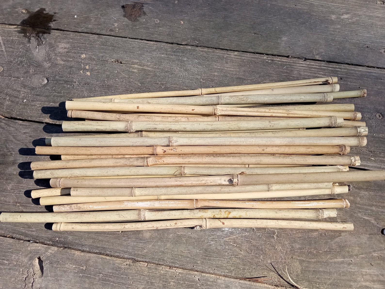 15 Pcs Unit Dried River Cane Sticks 917 Long, 1/83/8 Diameter - Etsy