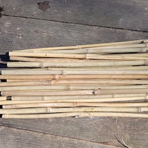 15 Pcs Unit Dried River Cane Sticks (9"-17" Long, 1/8"-3/8" Diameter ...