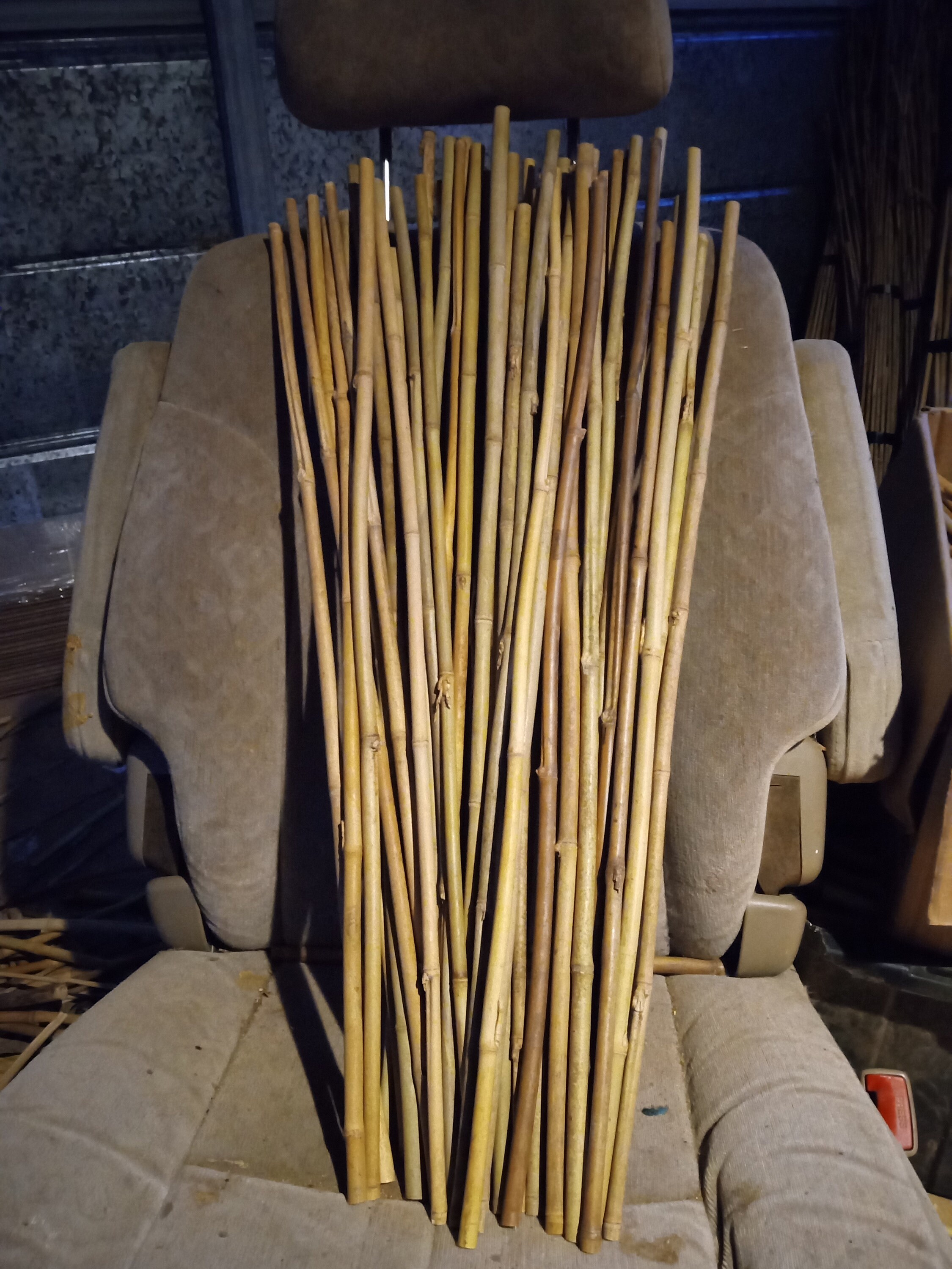 50 Pcs/bundle 2528 Mixed Green & Air Dried River Cane Sticks - Etsy