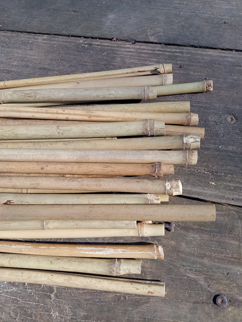 15 Pcs Unit Dried River Cane Sticks 917 Long, 1/83/8 Diameter - Etsy