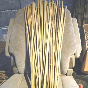 50 Pcs/bundle (25"-28") Mixed Green & Air Dried River Cane Sticks - Etsy