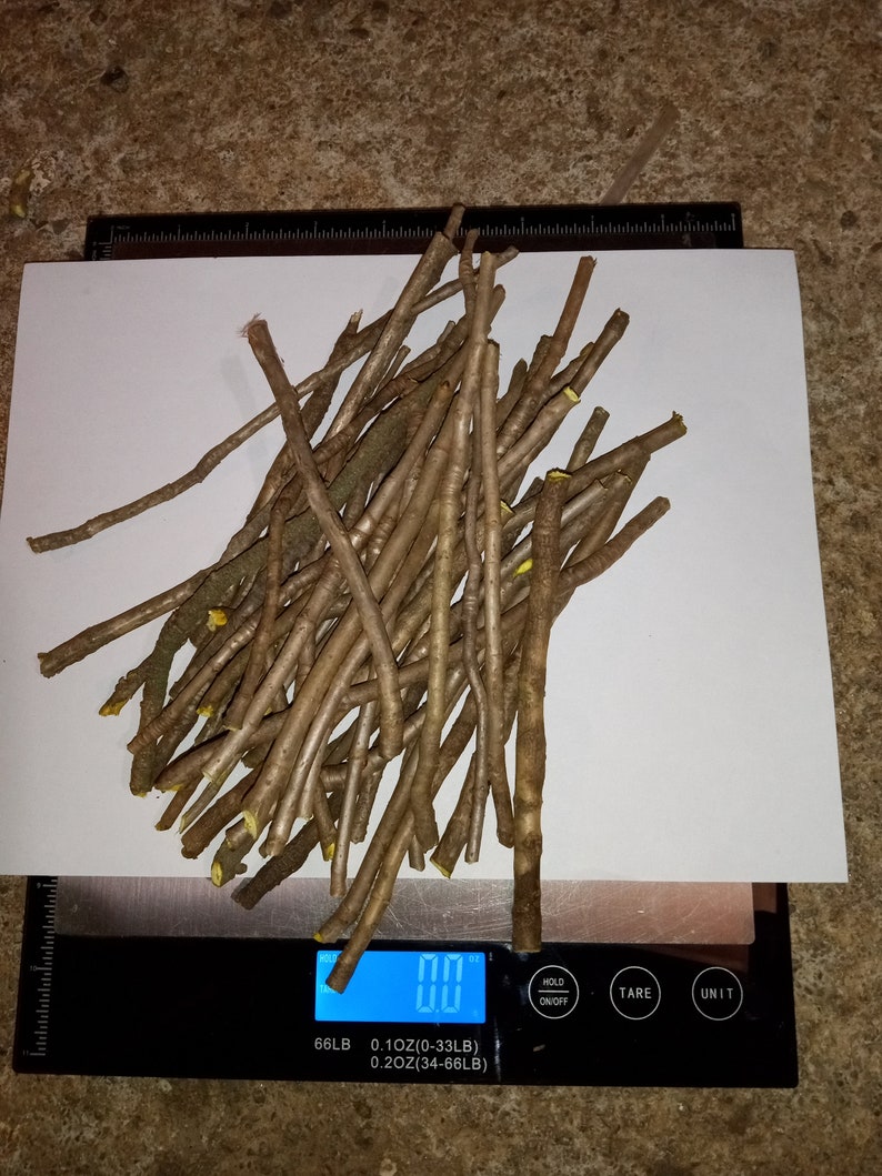 5 Oz Yellowroot Sticks 56 per Stick Long freshly Harvested and Still ...