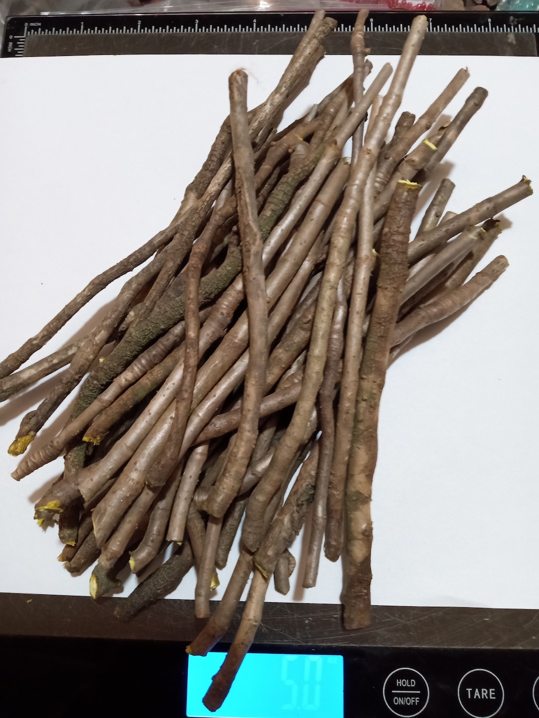 5 Oz Yellowroot Sticks 56 per Stick Long freshly Harvested and Still ...