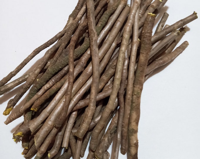 Yellowroot Bundles Dried Herb Xanthorhiza Simplicissima Natural ...