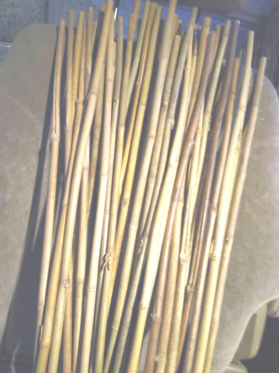 50 Pcs/bundle (25"-28") Mixed Green & Air Dried River Cane Sticks - Etsy