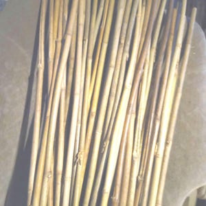 50 Pcs/bundle (25"-28") Mixed Green & Air Dried River Cane Sticks - Etsy