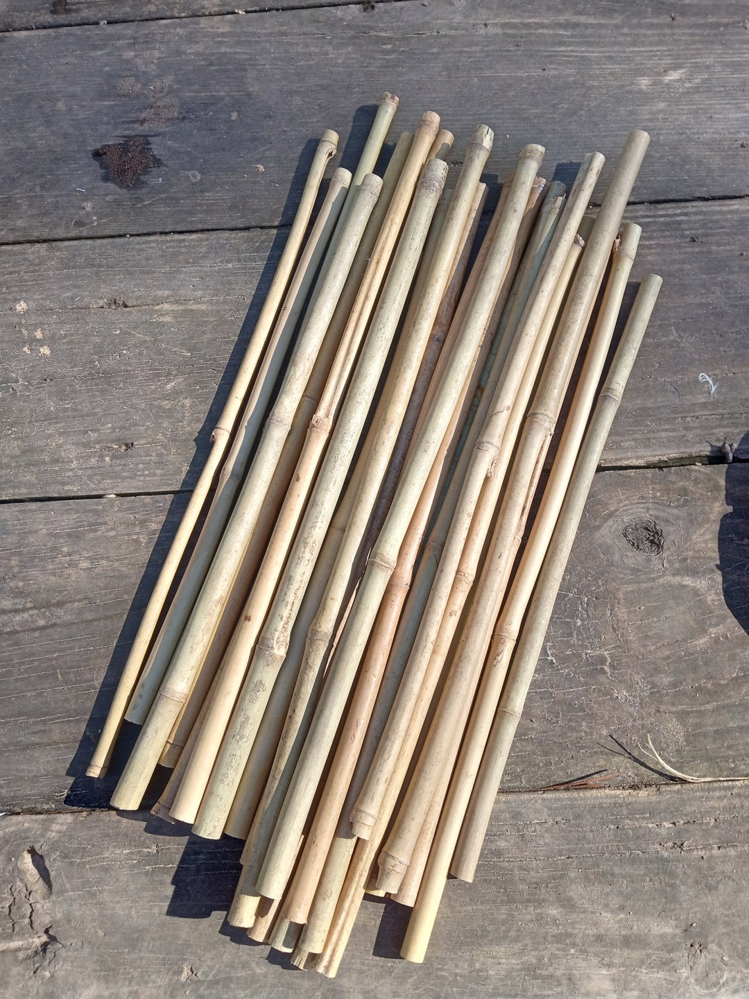15 Pcs Unit Dried River Cane Sticks (9"-17" Long, 1/8"-3/8" Diameter ...