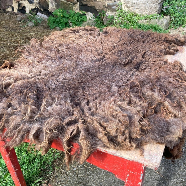 Raw Wool Fleece - Etsy