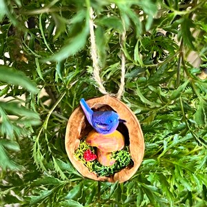 Walnut Shell Miniature Wren Unique Cottagecore Decoration Versatile ...