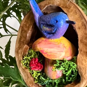 Walnut Shell Miniature Wren Unique Cottagecore Decoration Versatile ...