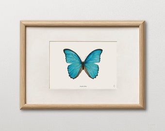 Printed morpho - Etsy España