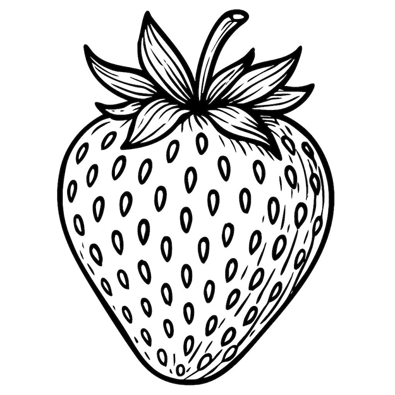 Strawberry Svg – Vintage Fruit Illustration Line Art for Cricut and ...