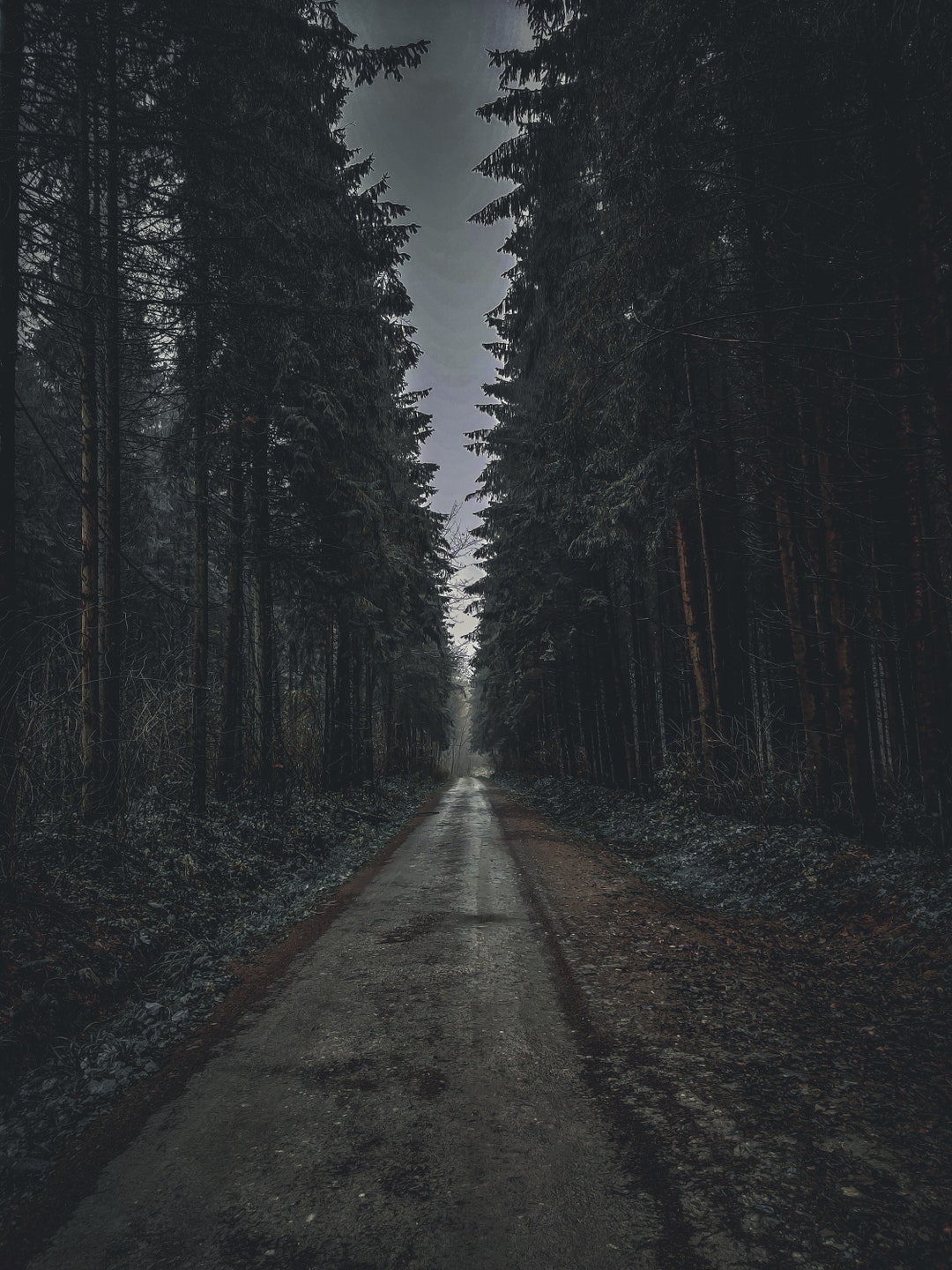 Forest Landscape Printable Wallpaper Printable Art Photography, High ...