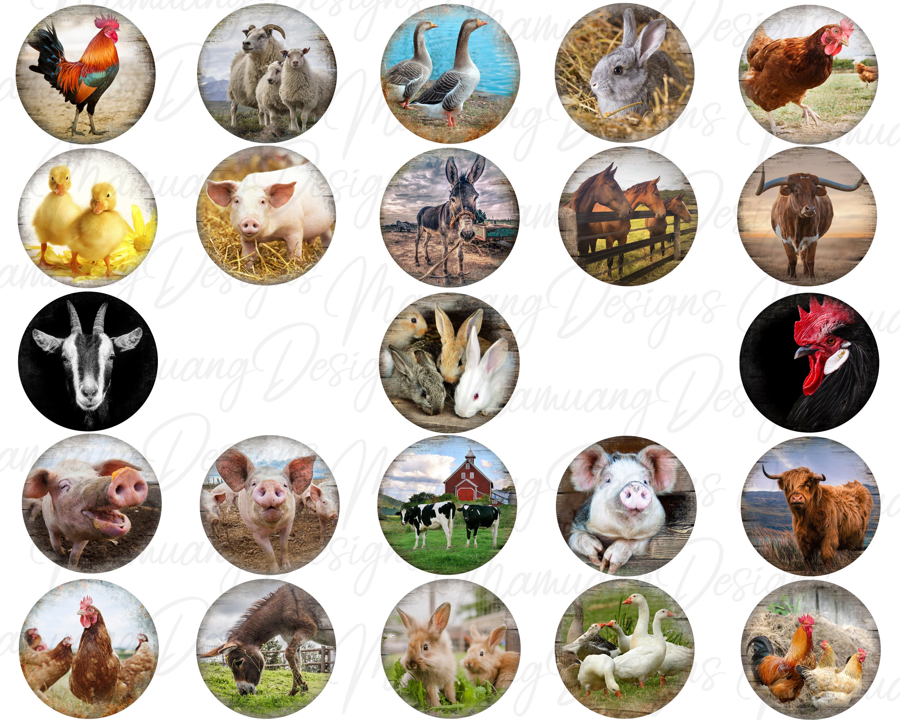 Car Coaster Farm Animals Bundle Sublimation Design - Etsy
