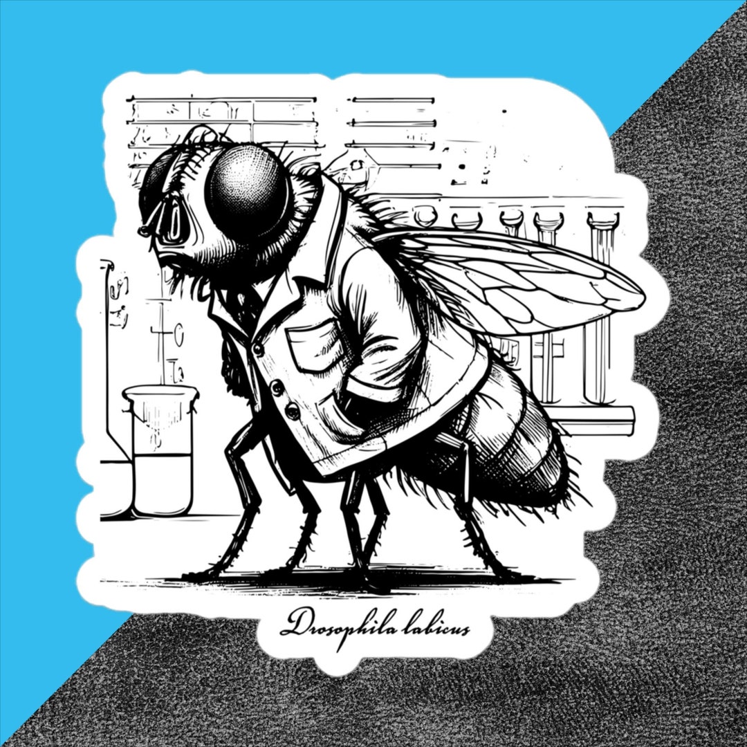 Scientist Fruit Fly Stickers (drosophila Labicus) - Etsy