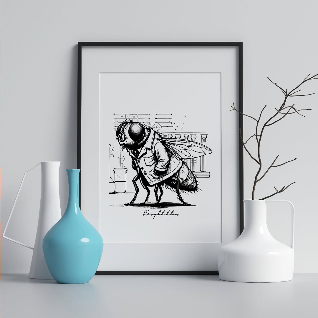 Scientist Fruit Fly Posters (drosophila Labicus) - Etsy