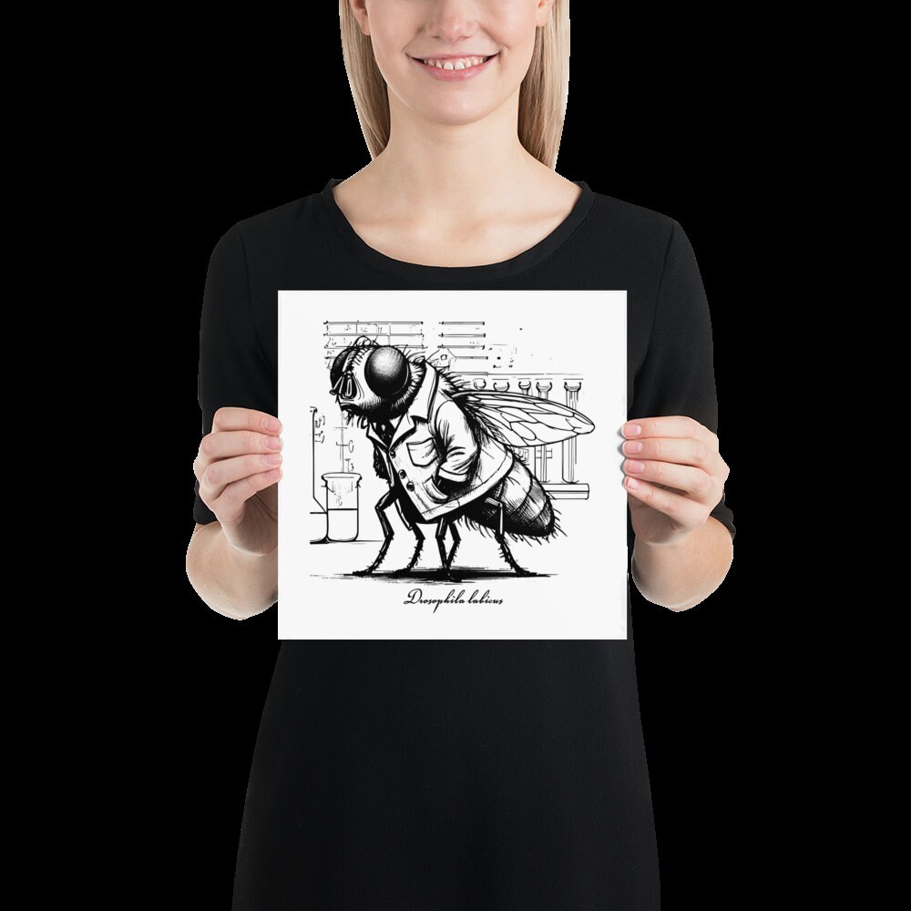 Scientist Fruit Fly Posters (drosophila Labicus) - Etsy