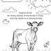 Ranch Life Coloring Pages - Etsy